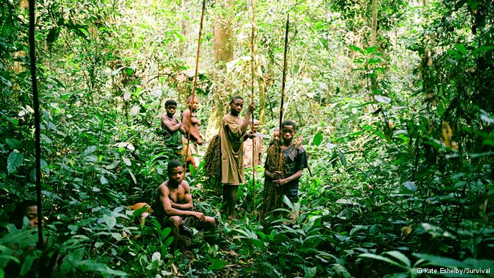 Hamish In Auckland: DR Congo : The Bambuti ( pygmies ) are the latest ...