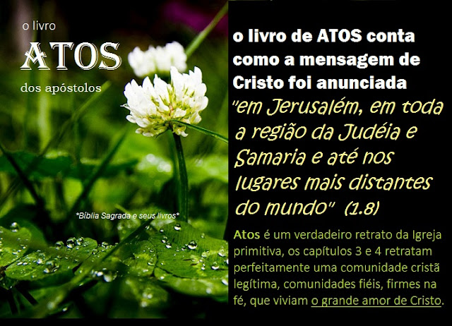 Bíblia Sagrada e seus livros: ATOS - o 5º livro do NOVO Testamento ...