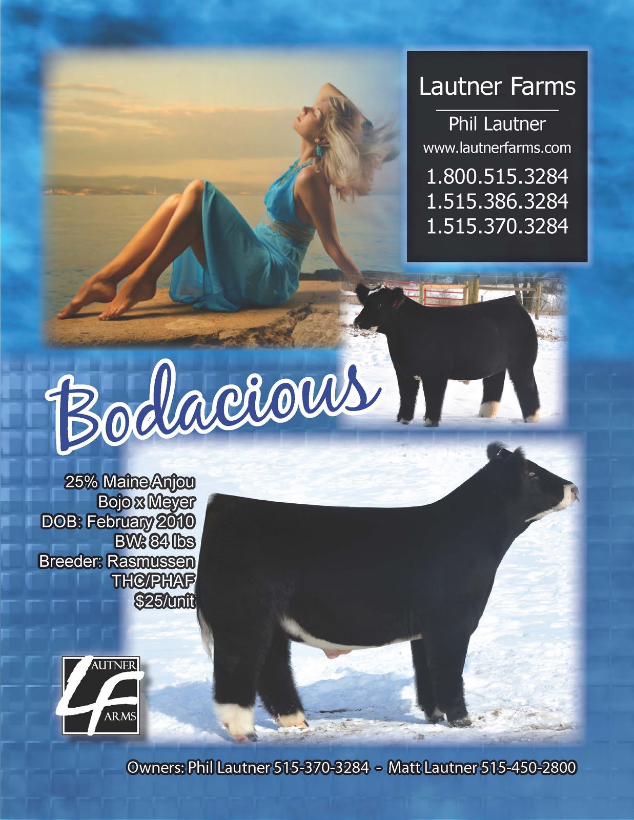 Bodacious Bull Poster
