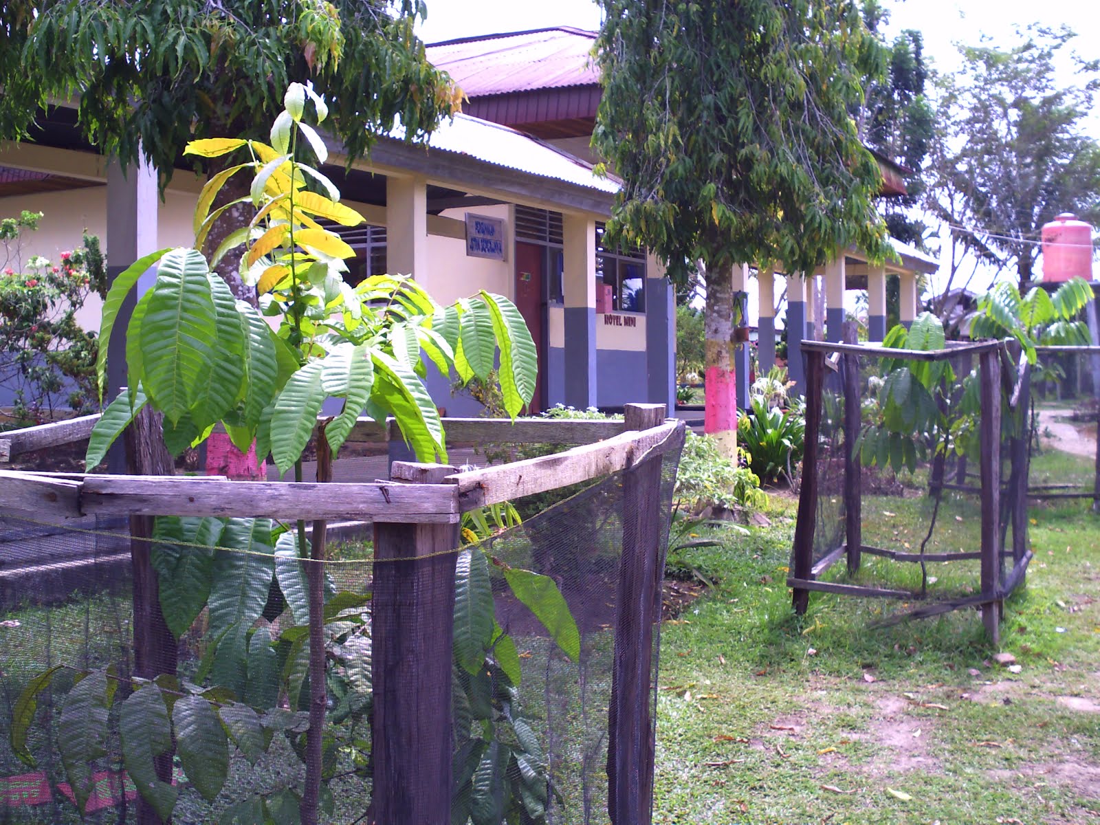 SMK N 2 TELUK KUANTAN (KUANTAN SINGINGI REGENCY, RIAU PROVINCE, INDONESIA)