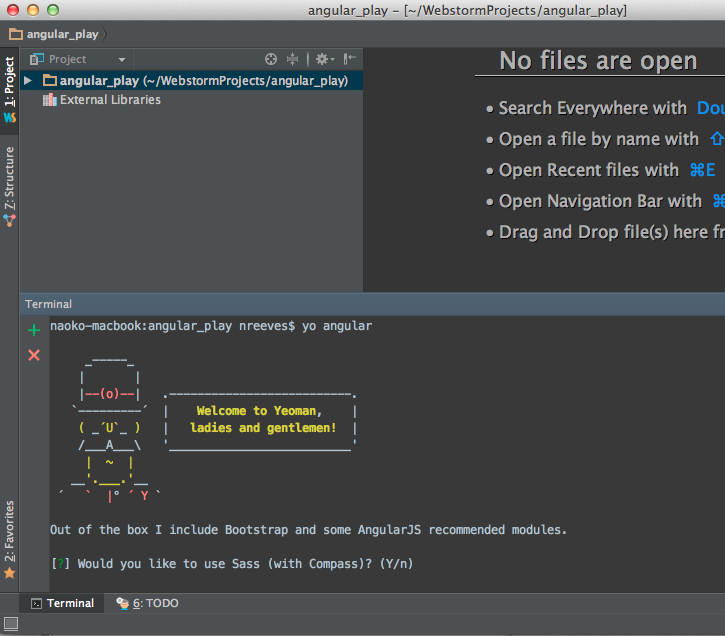 simple is better than complex: Play with Angular: Get help from YEOMAN and Debugging with WebStorm