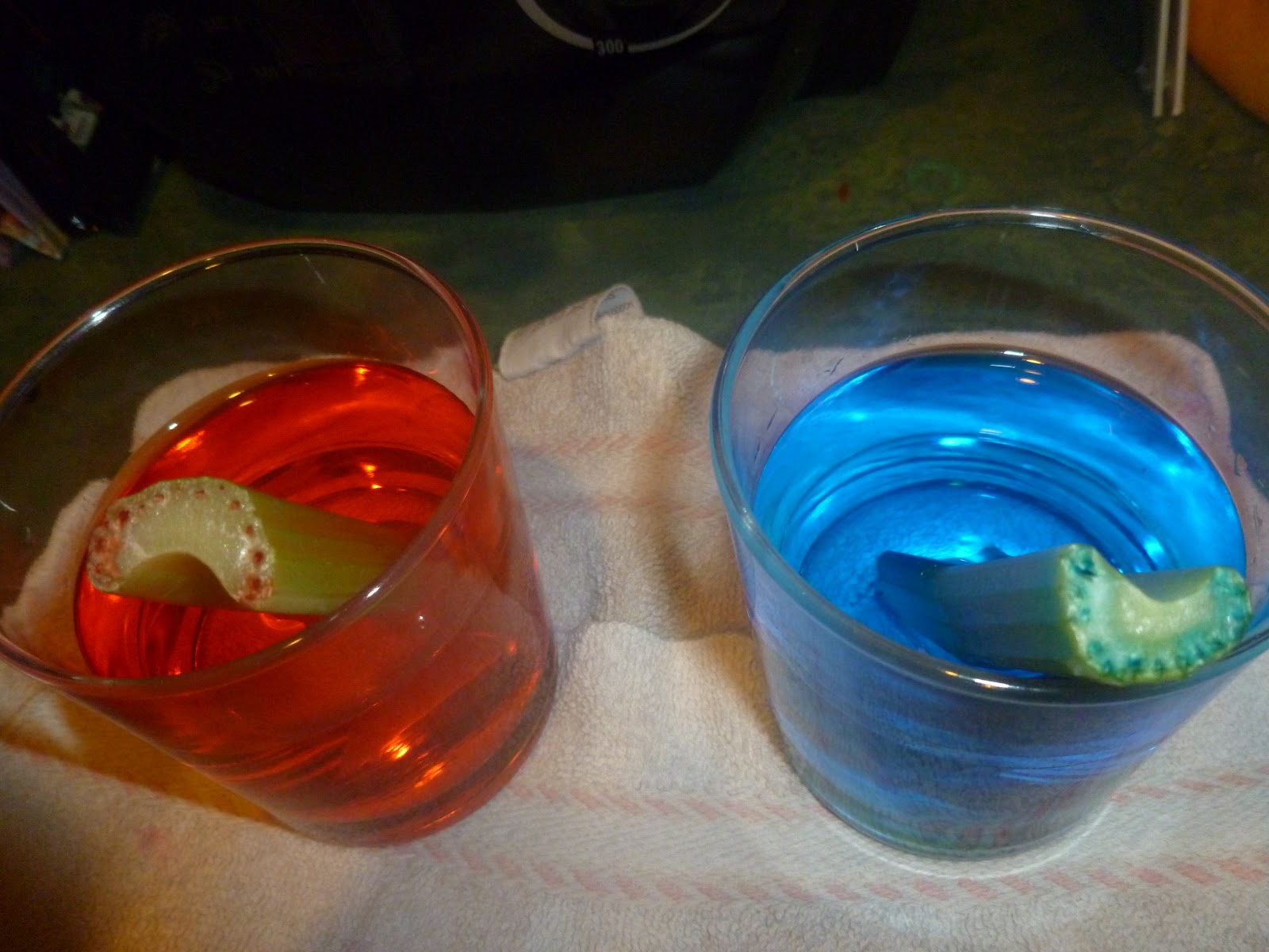 LETTER "C" WITH A SCIENCE EXPERIMENT! - Mama to 6 Blessings