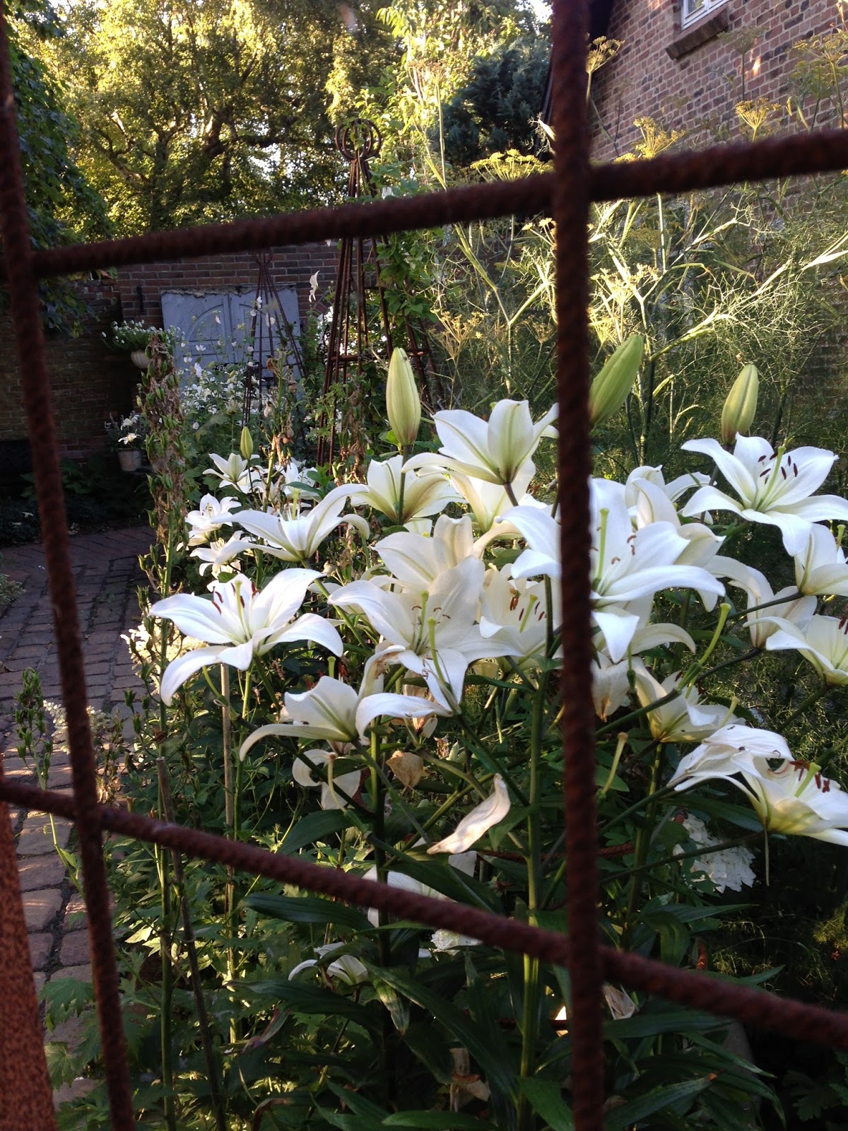 Fru Pedersens have: Liggestole og hvide liljer.