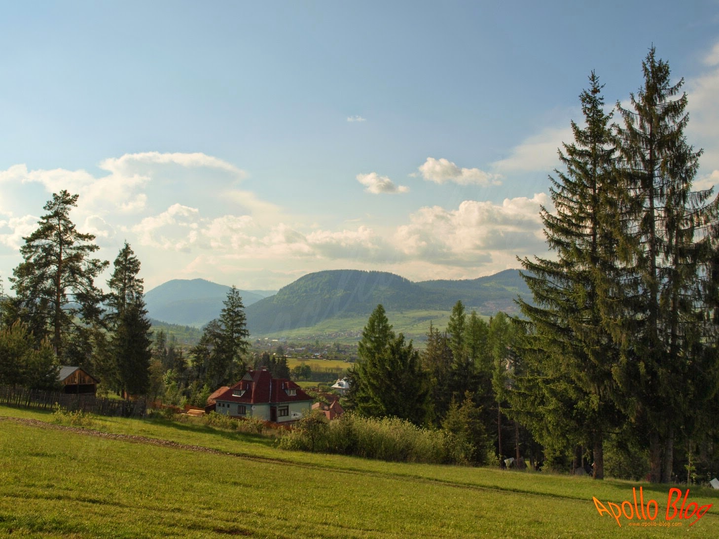 Apollo Blog: Municipiul Toplita