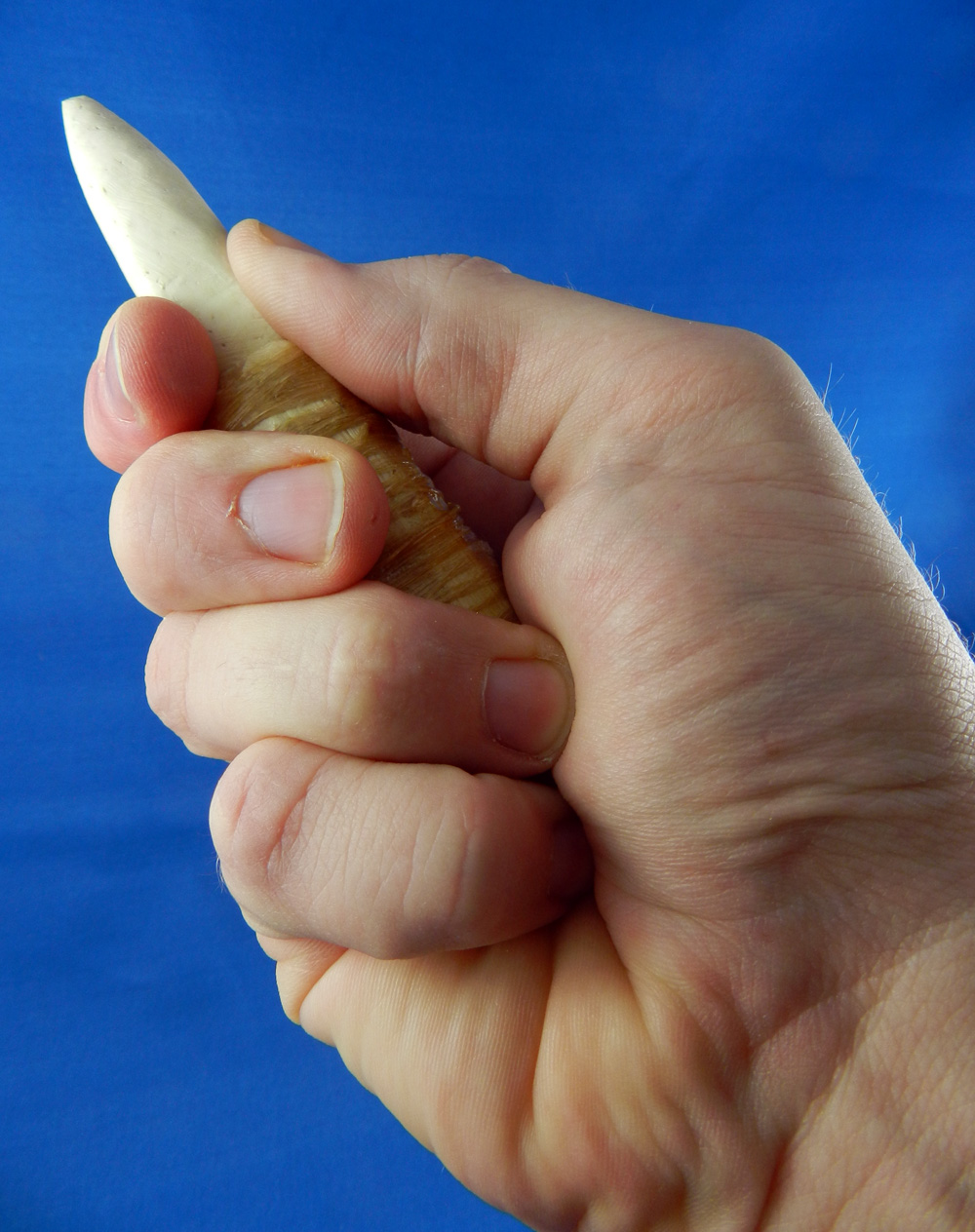 Elfshot: Dorset Palaeoeskimo Pressure Flaker