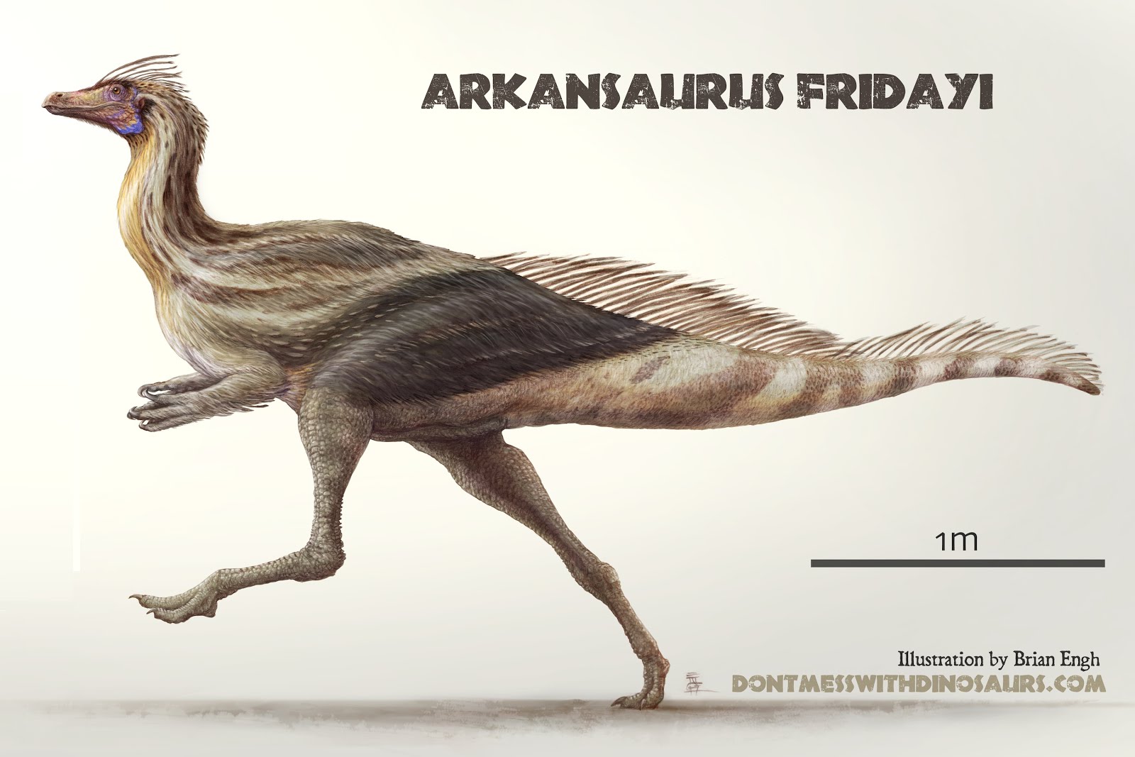 Species New to Science: [Paleontology • 2018] Arkansaurus fridayi • A ...