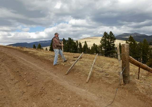 THE WESTERNER: 10/14/2012 - 10/21/2012