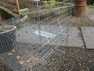 Teifi Ringing Group: Potter trap mechanisation, wandering birds and S4C