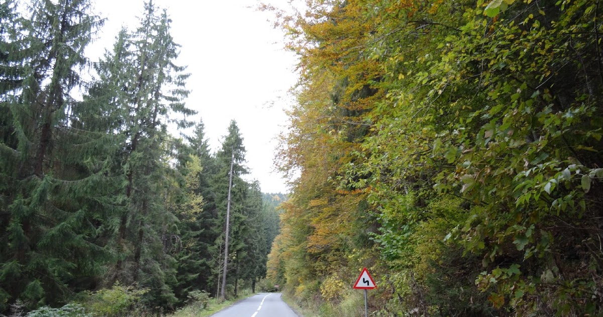 Apollo Blog: Toamna @ Pasul Bucin