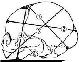 Welcome Blog Indah Fedri: Ukuran – ukuran Panggul dan Kepala Janin