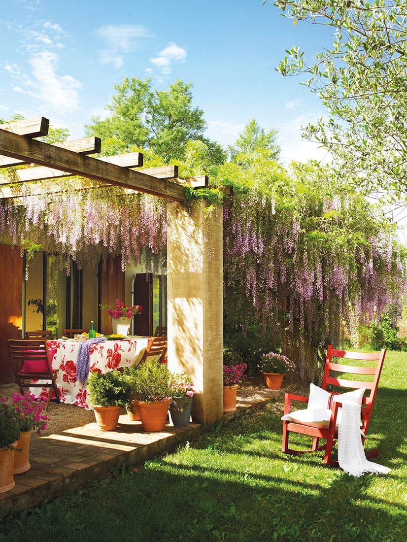 Marzua: Plantas trepadoras con flores para decorar