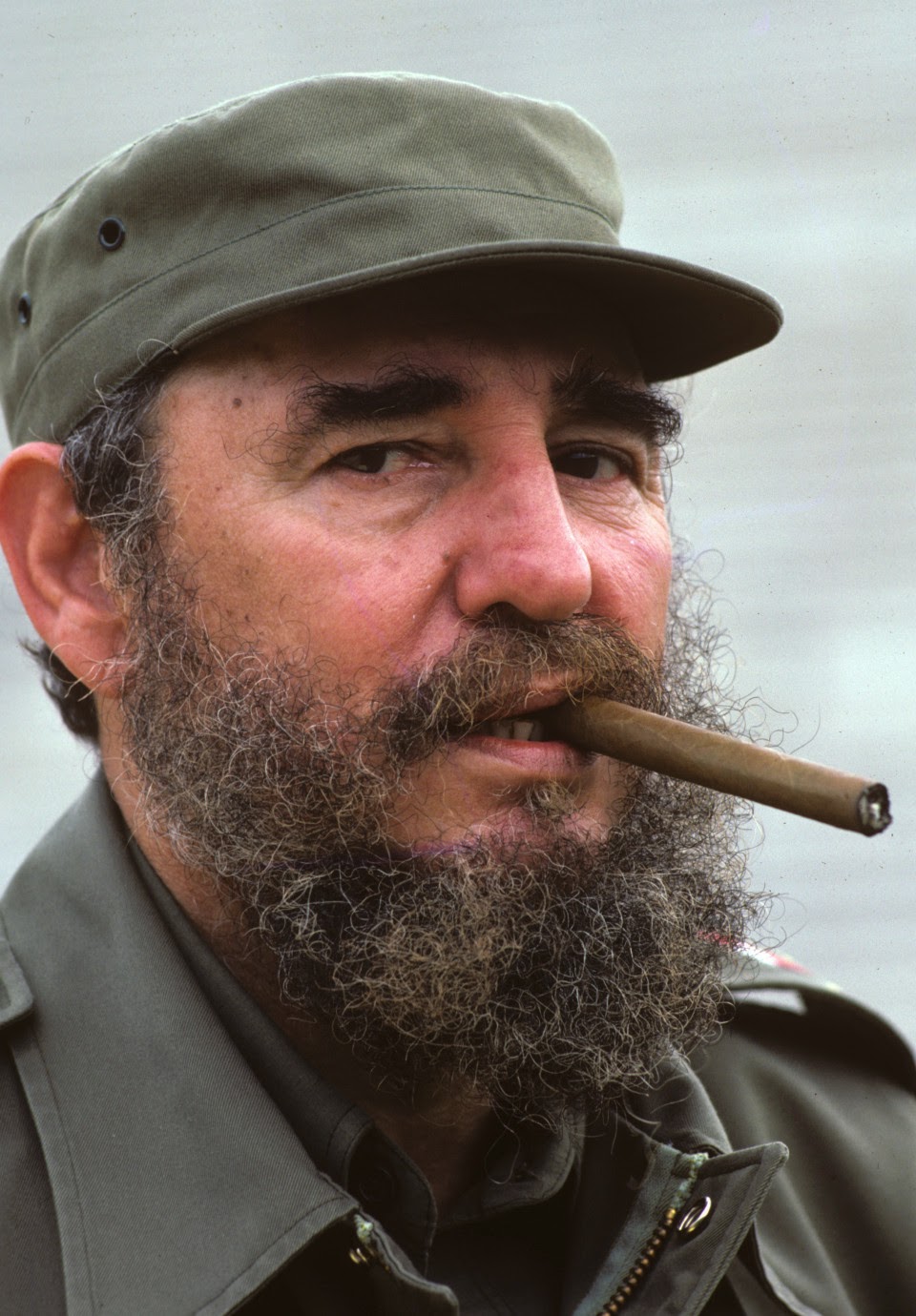 Diplomatizzando: Fidel Castro: a vida capitalista (mais, nababesca) de ...