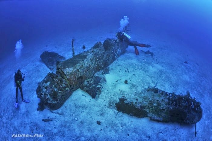 You Won't Believe What These People Found Underwater (79 pics) - World ...