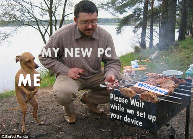 Me - my new pc - please wait while we set up your device