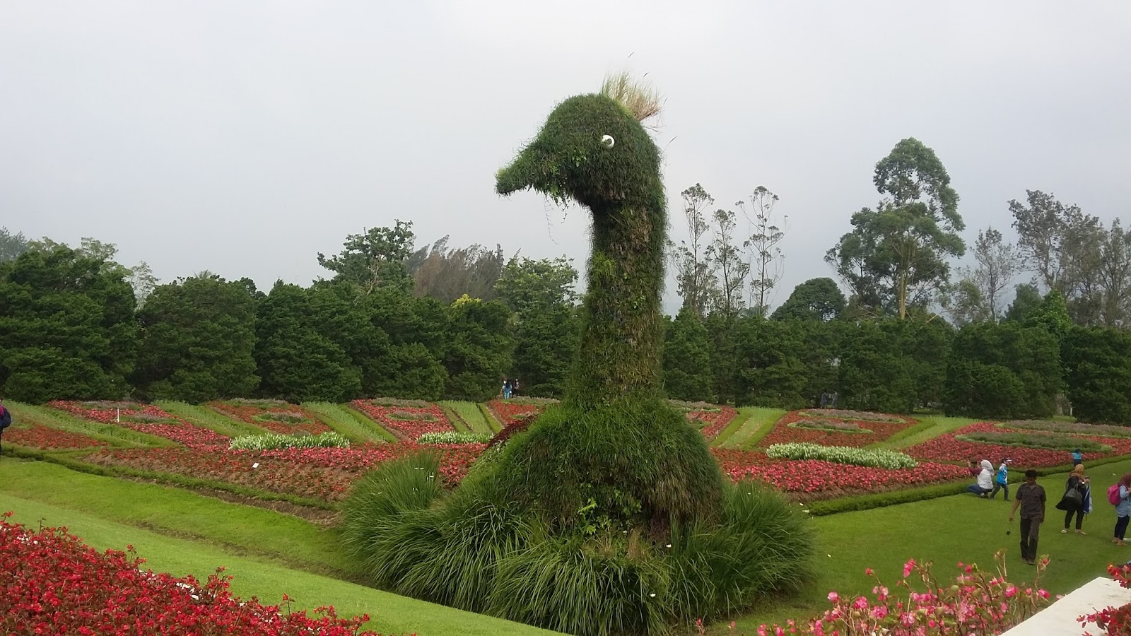 IndiLicious: Short trip: Bagian 2 - Taman Bunga Nusantara, Bogor