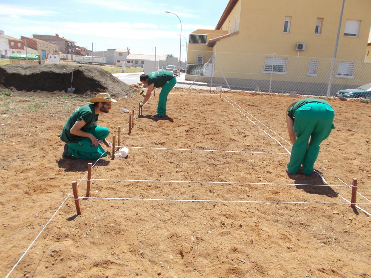 Hortus naturalis : Organización de parcelas