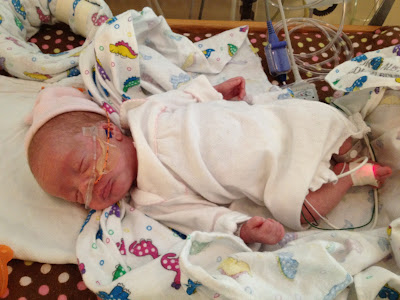 The Pair of Scates: Open Cribs