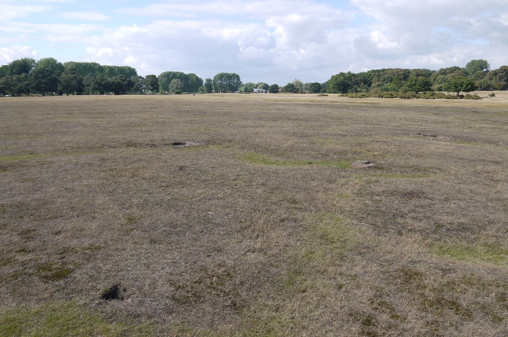 WW1 and WW2 Defences - Suffolk and beyond: WW1 Training Trenches - Beccles