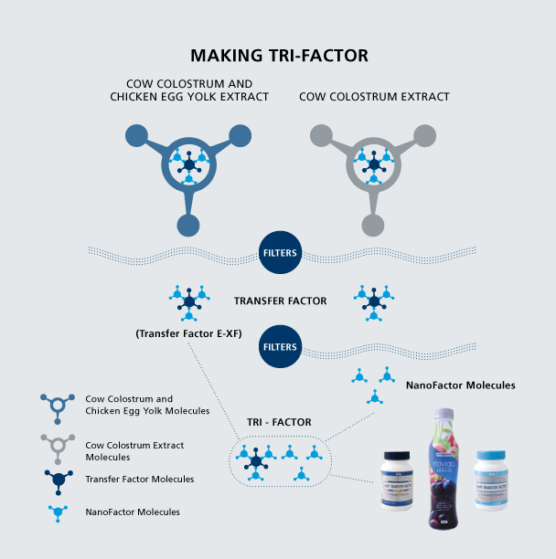 TRANSFER FACTOR: APAKAH TRANSFER FACTOR ITU