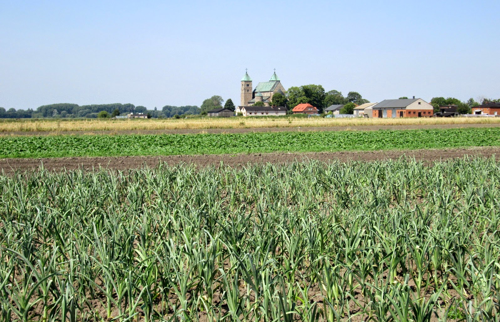 Mr SCOTT jedzie do... (-:: WYCIECZKA Nr 270 - Mazew i Daszyna