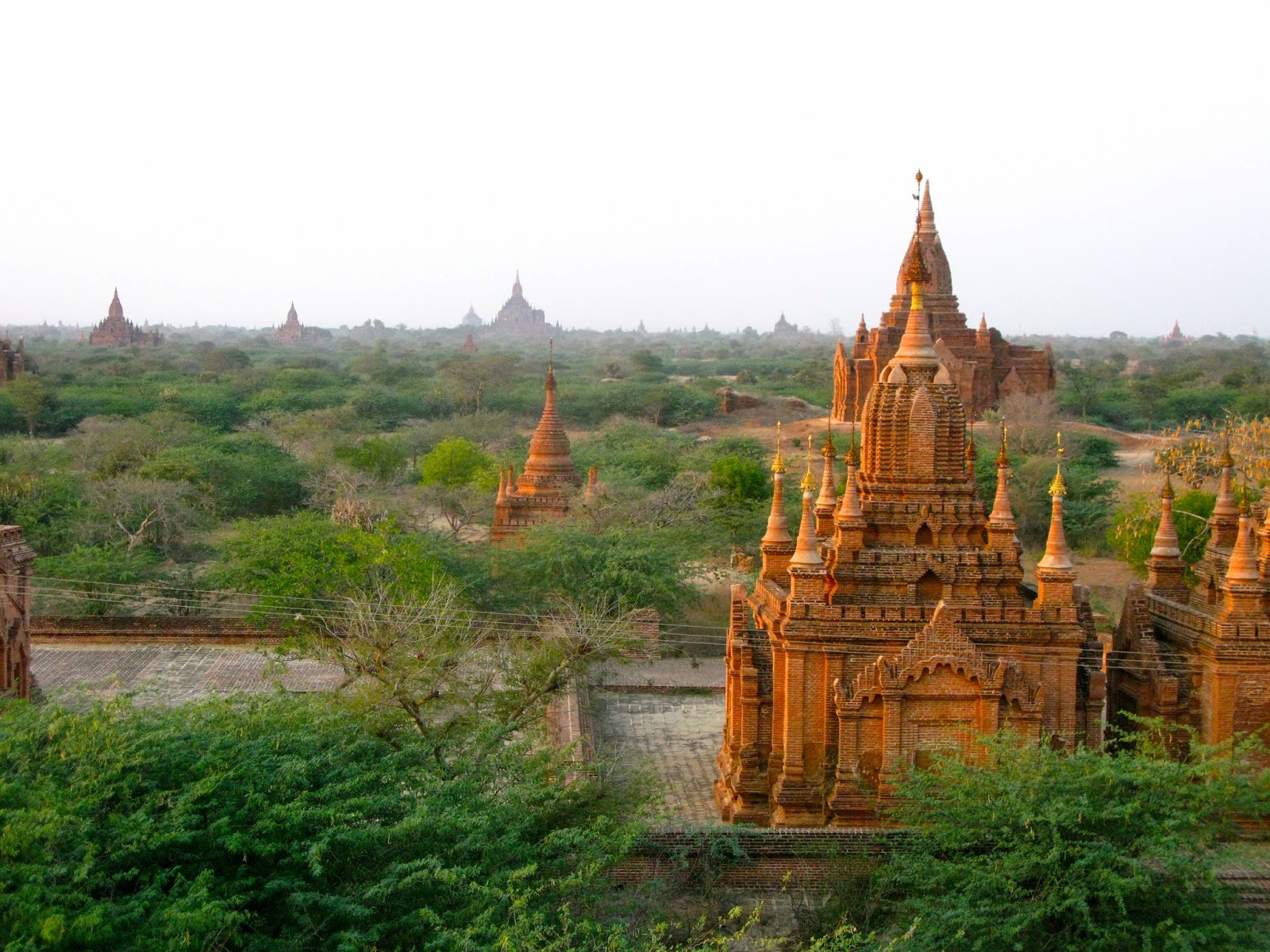 Maggis Värld: Pagod, Pagod, och var jag såg, jag såg pagod...En andra ...