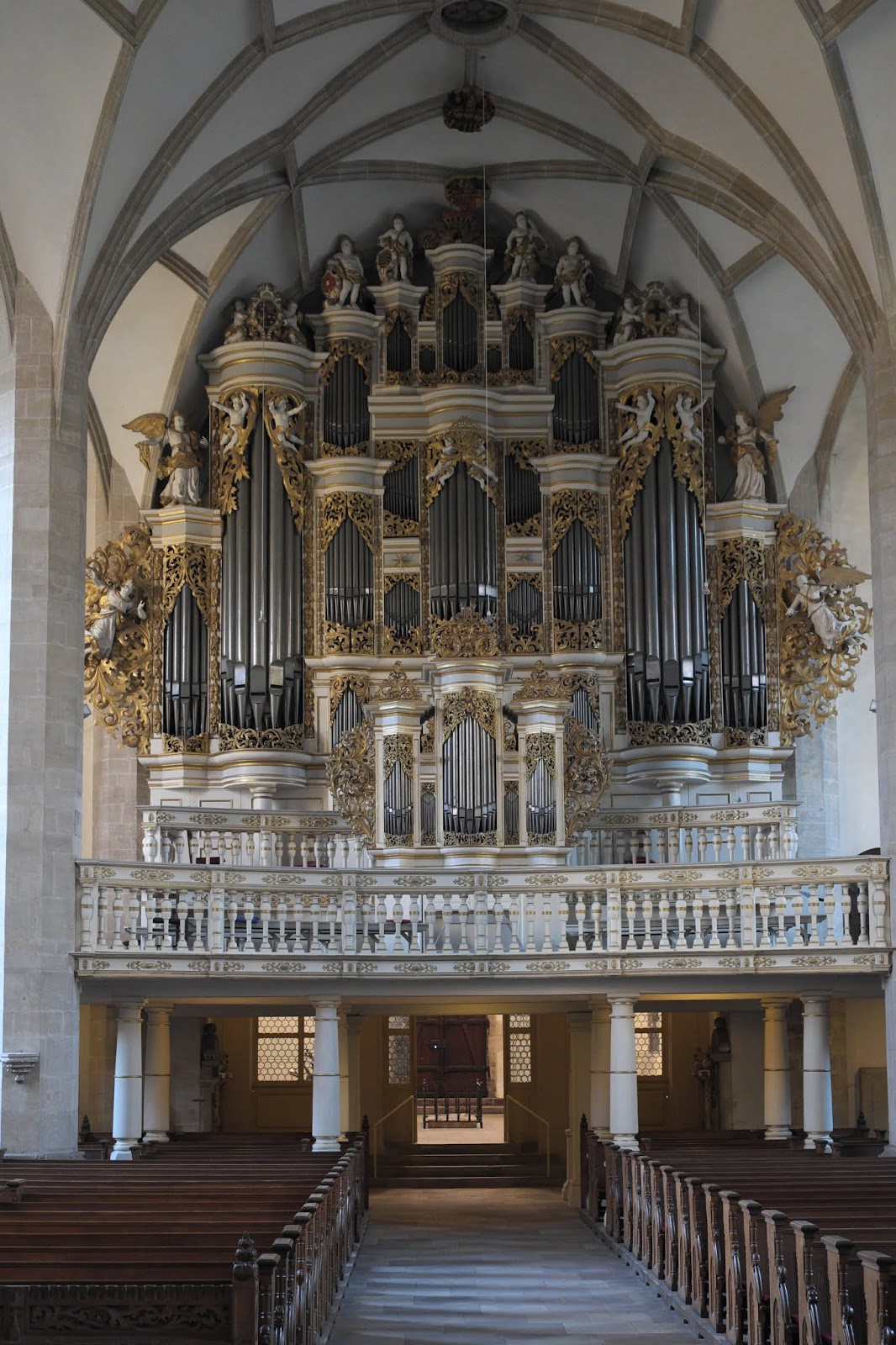 Un poco de todo: El órgano (IV)