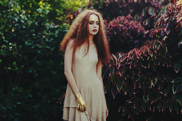 glittering heads dream.: golden bird of the sun.