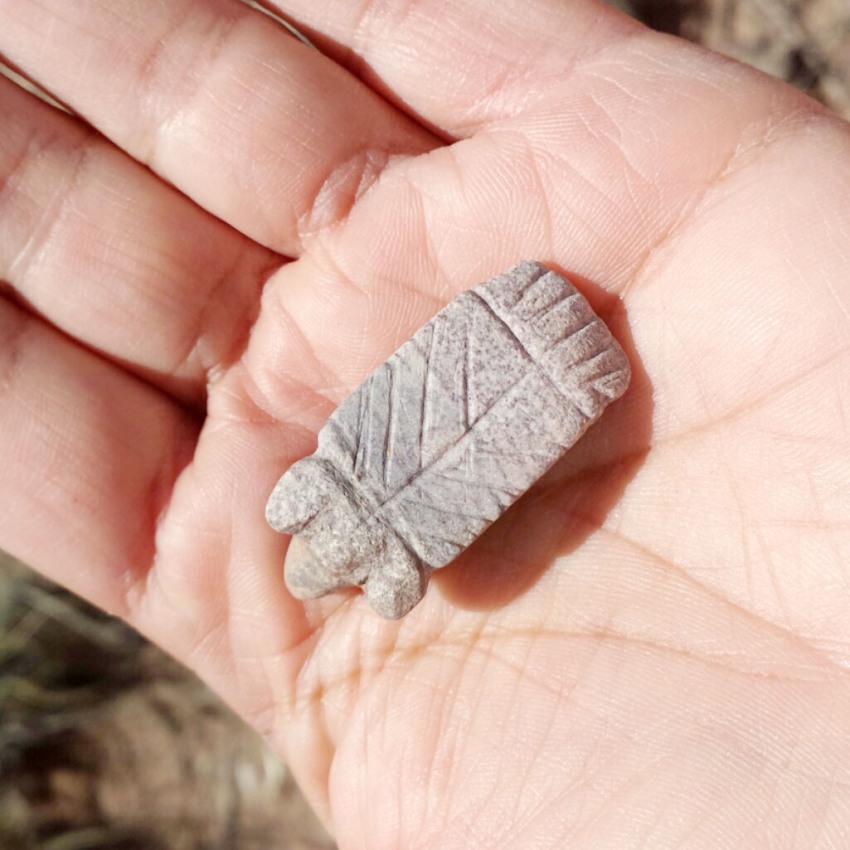 archaeo-sororis: southwestern turtle effigy