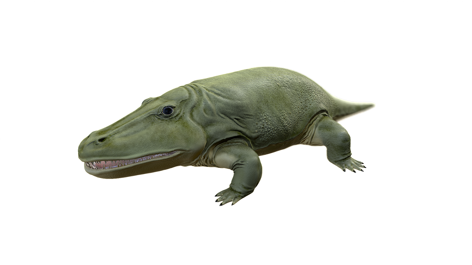 eryops | Arnaud Olbé : Infographiste 3D