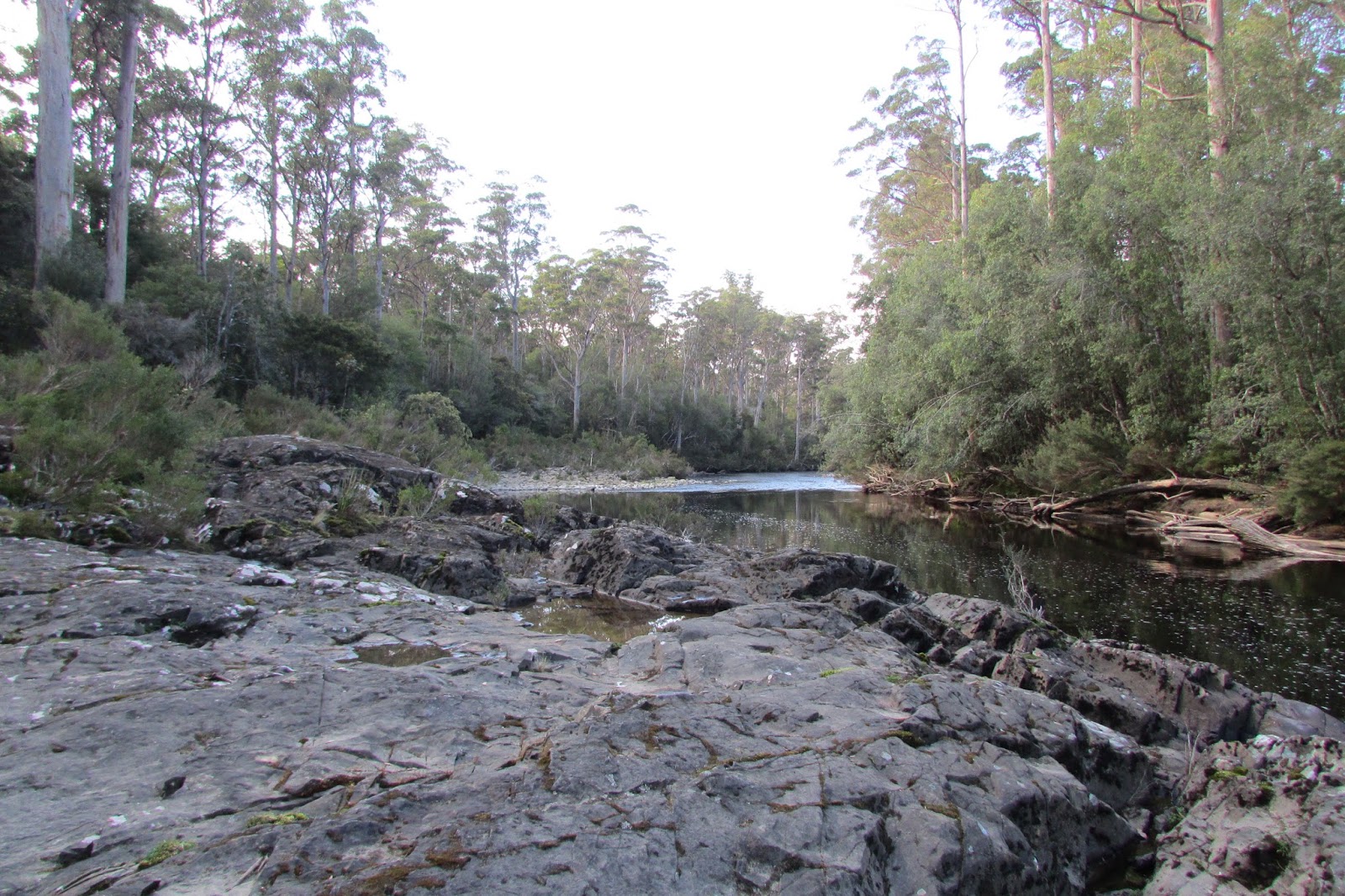Weld River | Hiking South East Tasmania