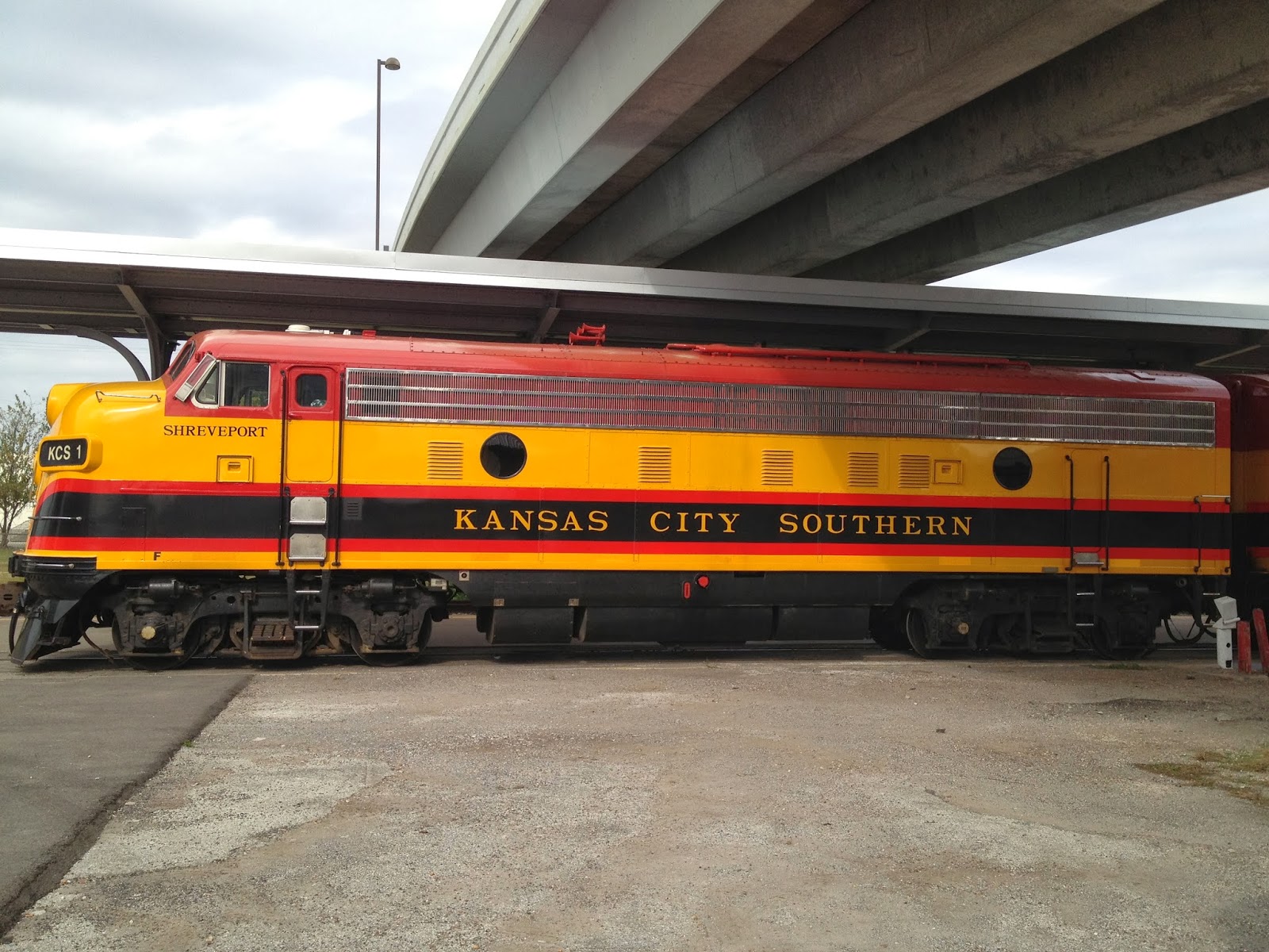 Mean Green Cougar Red: The KCS Southern Belle