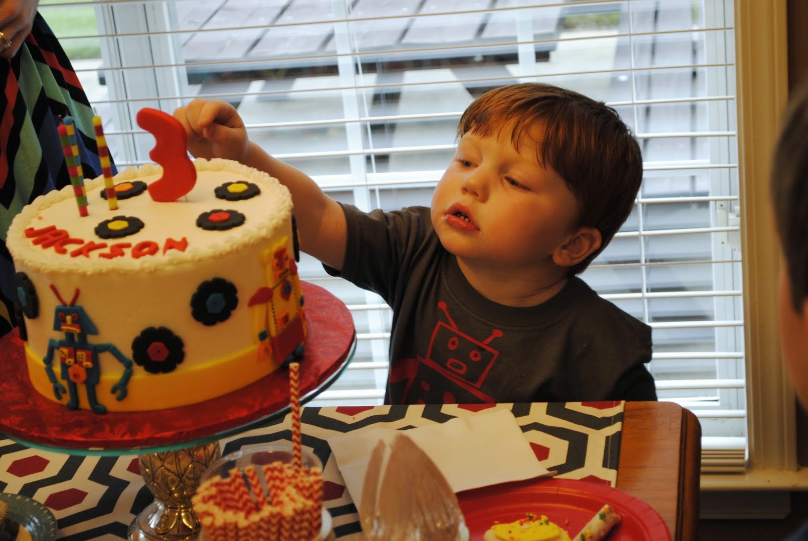 "A day in the life of Jackson & Stone..." : Jackson's 3rd Birthday Party!!