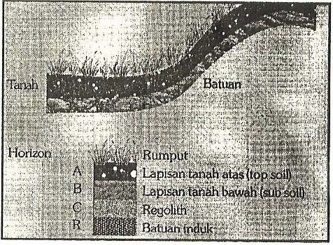 Profil Tanah - Campus Nancy