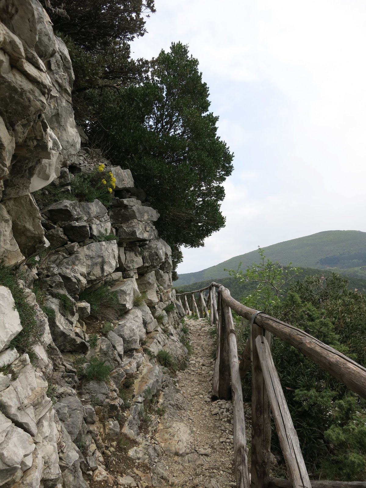 Itineris Mei: Monte Pietralata - Ascesa alla Testa del Duce
