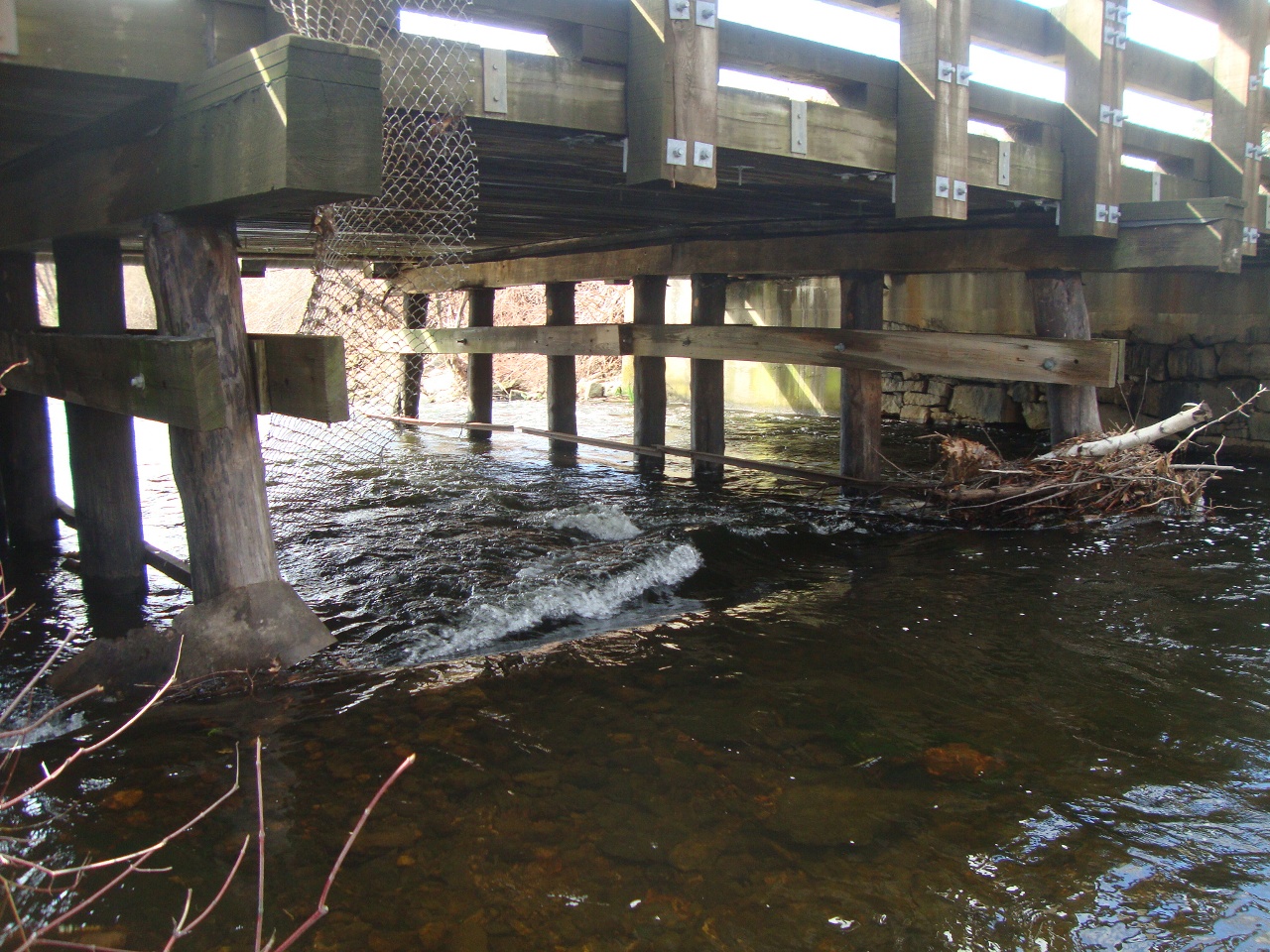 Always Civil: Timber Pier Bents Special Member Inspections