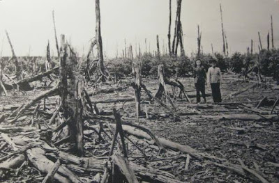 A Year as a Fulbright Professor in Can Tho, Vietnam: The Lasting ...