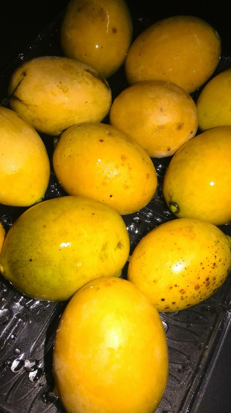 namakucella: BUAH KUNDANG a.k.a GHEMIA SIAM