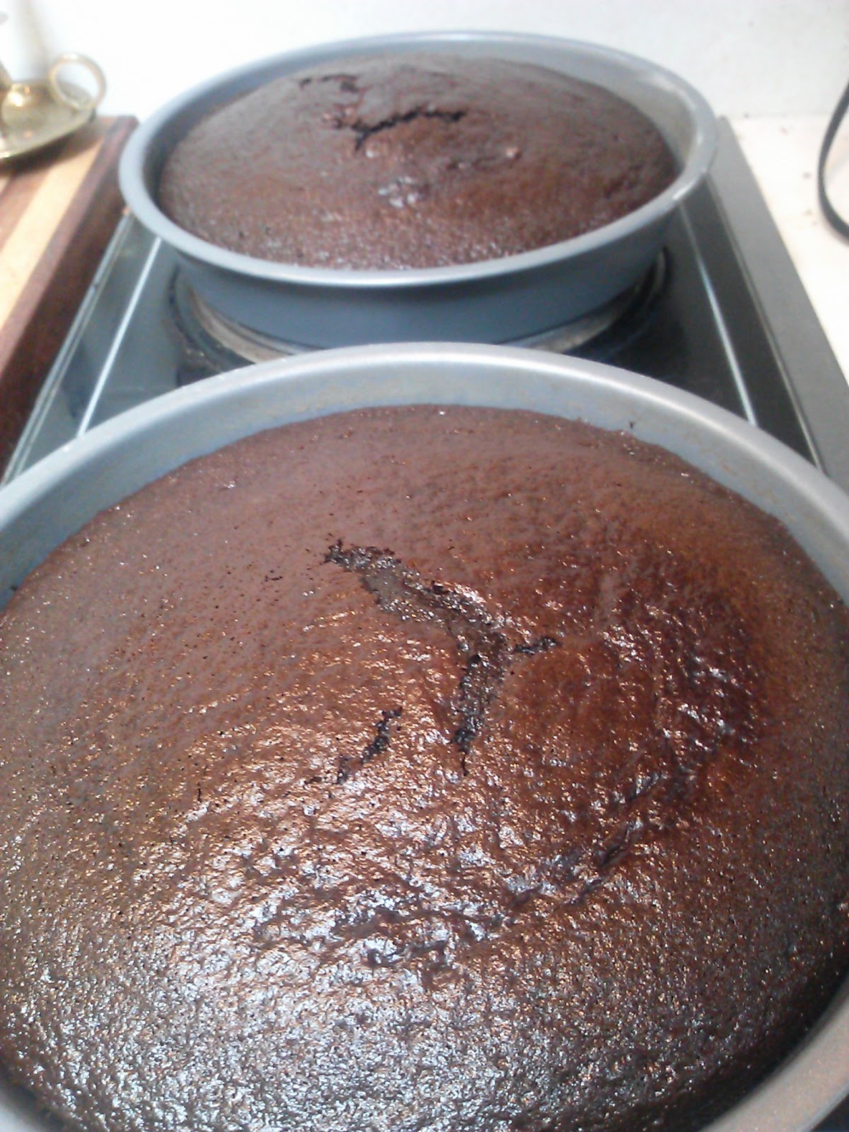 Antijenic Drift: Red Blood Cell Cake