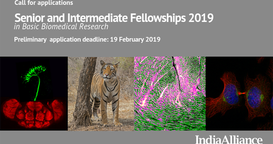 DBT Wellcome Senior/Intermediate Fellowships 2019 in Biomedical Rresearch