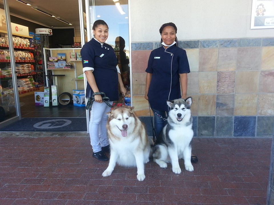 Bly kalm en wees lief vir pote: Diere is my alles