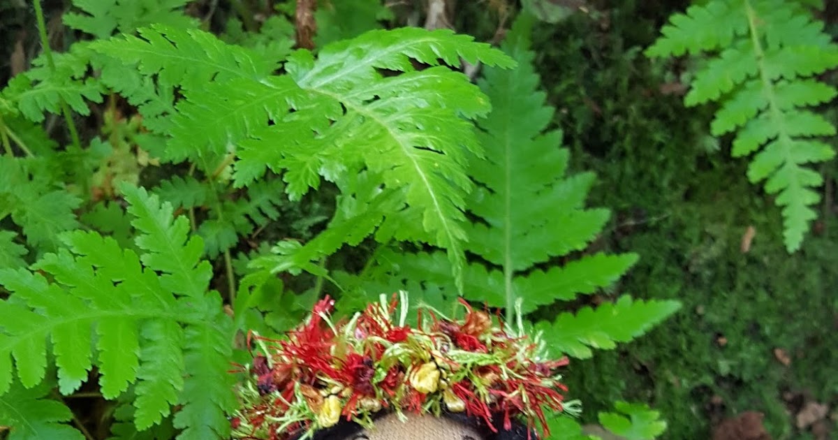 Magical Hawaiian Menehune Dolls: The Hawaiian Pahu: Celebrating the Sacred