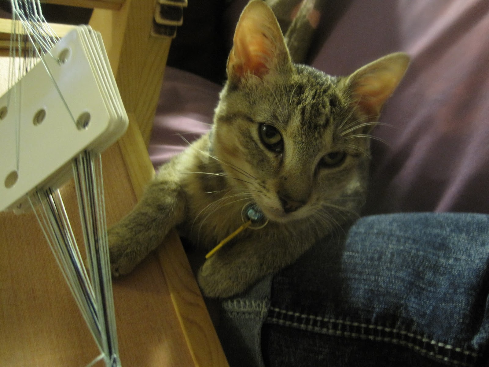 Stone Tracery Threads: Hedeby Harbor Wooden Handled Bag