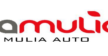 Lowongan Kerja Kaltim di PT Serba Mulia Auto Desember 2023 Januari 2024