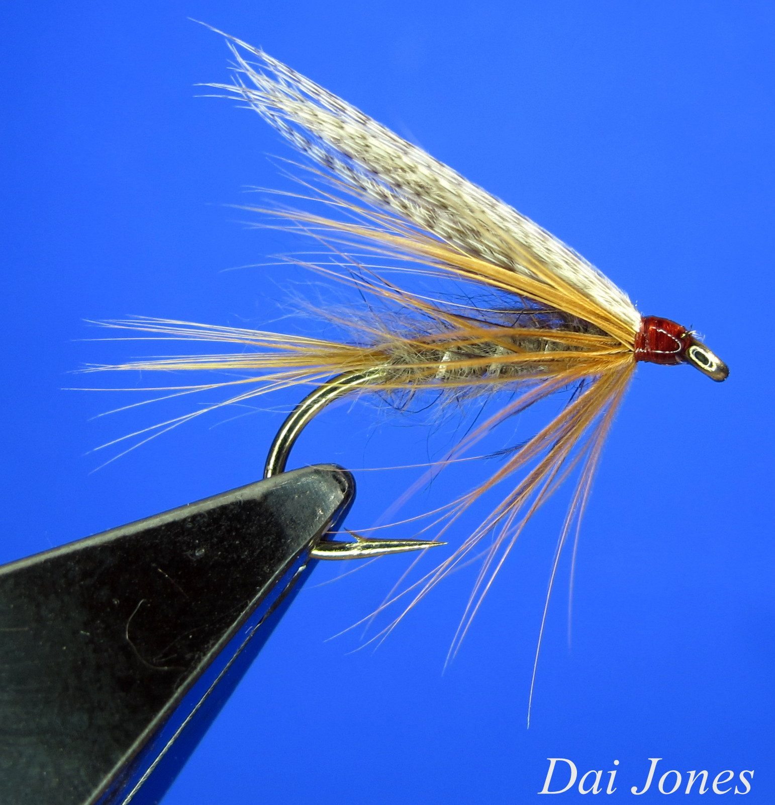 daijones flies: Fish and flies.