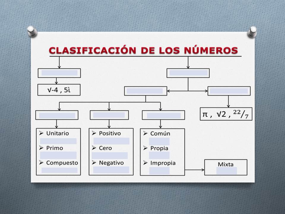 ACTIVIDAD 1. Clasificación de números