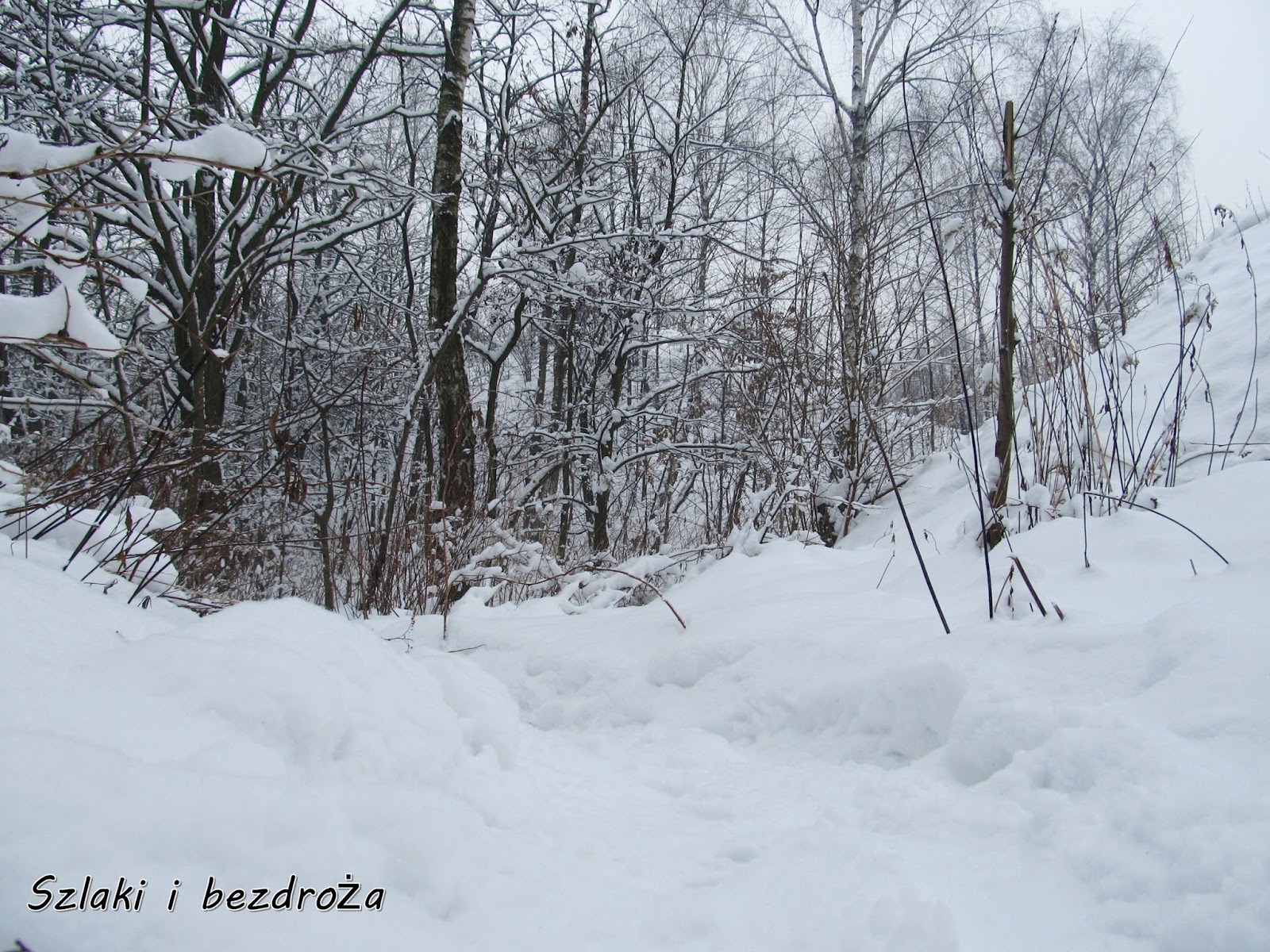 szlaki i bezdroża: Bytom Karb - staw Malek (Maleka)