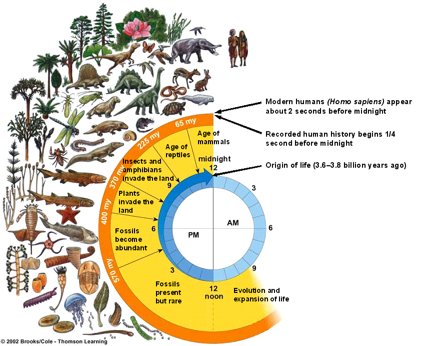 Science, Reason and Logic Rule: Evolution
