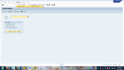 SAP Post Installation Steps