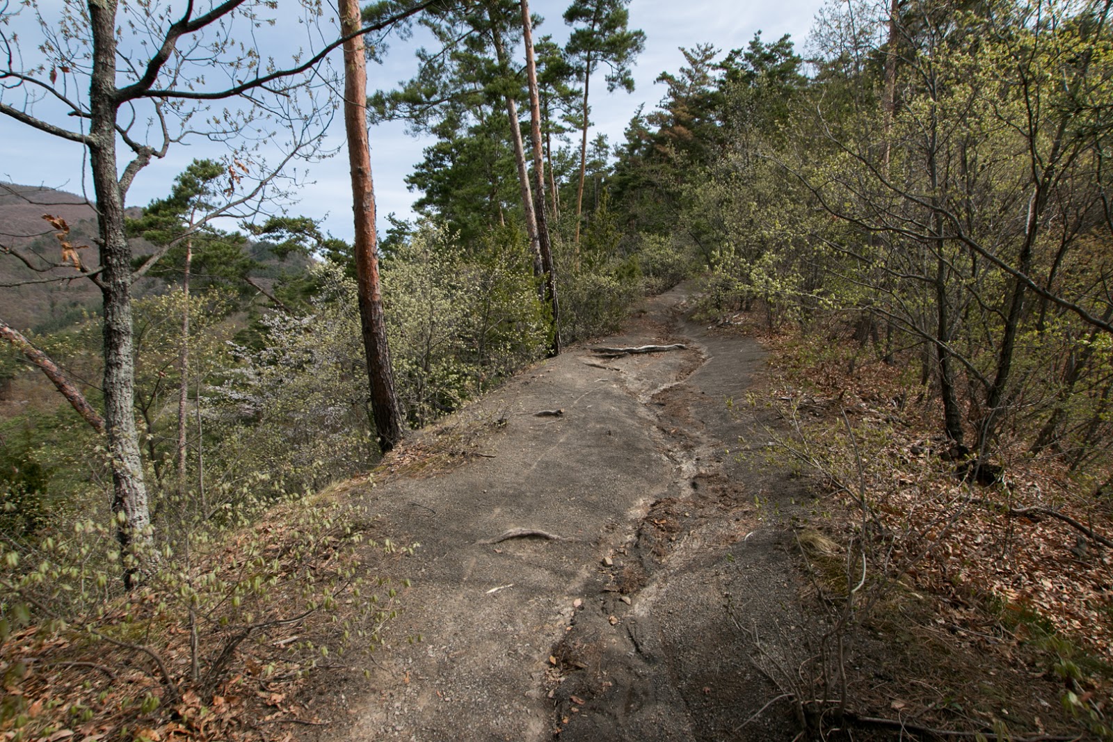 Toishi Castle -Might and plot- | Japan Castle Explorer