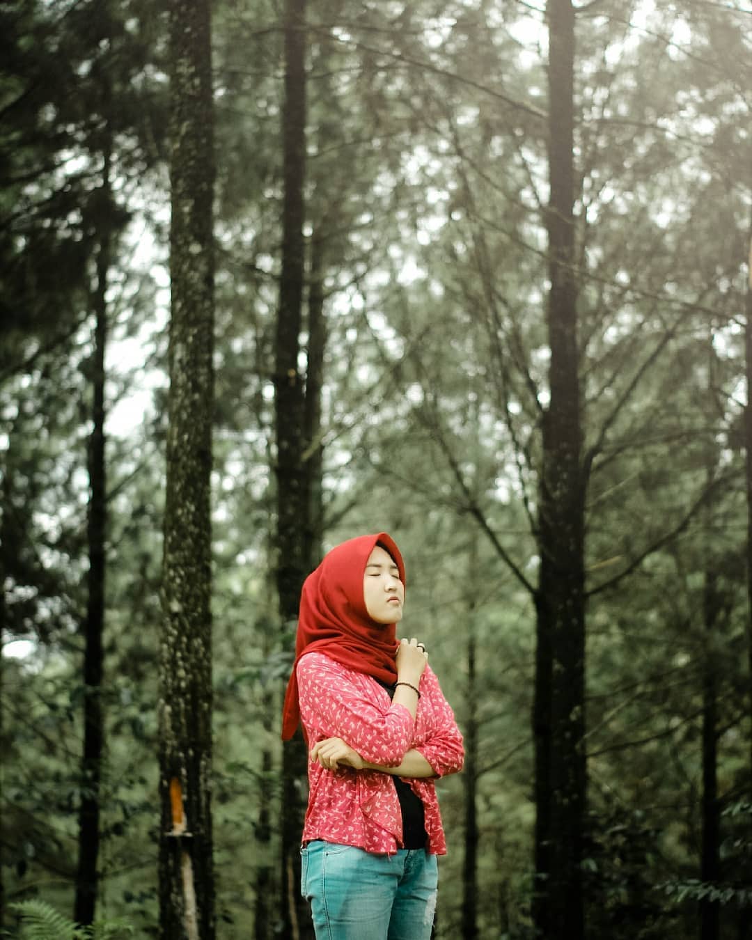 Suasana di Hutan Pinus Bukit Gedogan Sodonghilir | Tasik Hits ...